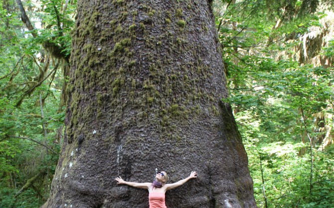 Seattle: Good City, Good Nature – The Urban Observer